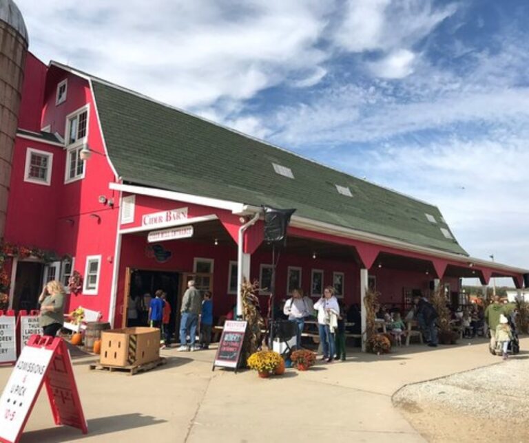 Autumn Adventures: Accessible Pumpkin Patches and Apple Orchards in ...