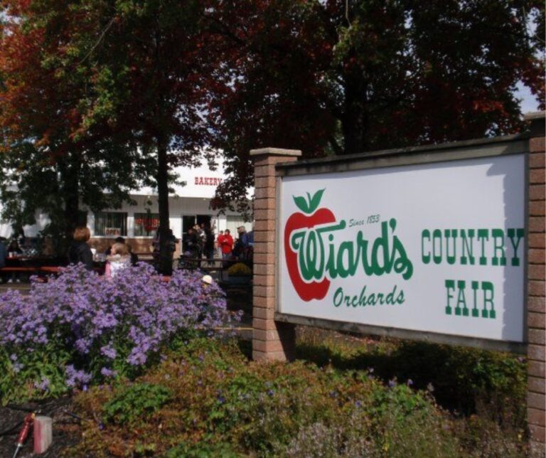 Autumn Adventures: Accessible Pumpkin Patches and Apple Orchards in ...